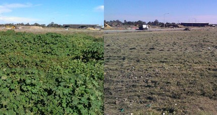 Gallery | Slashing Perth